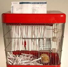 Let Your Hamster Shred Your Papers - Pratham Books