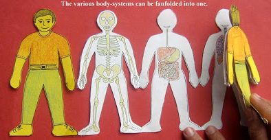 Teaching Kids About the Human Body - Pratham Books