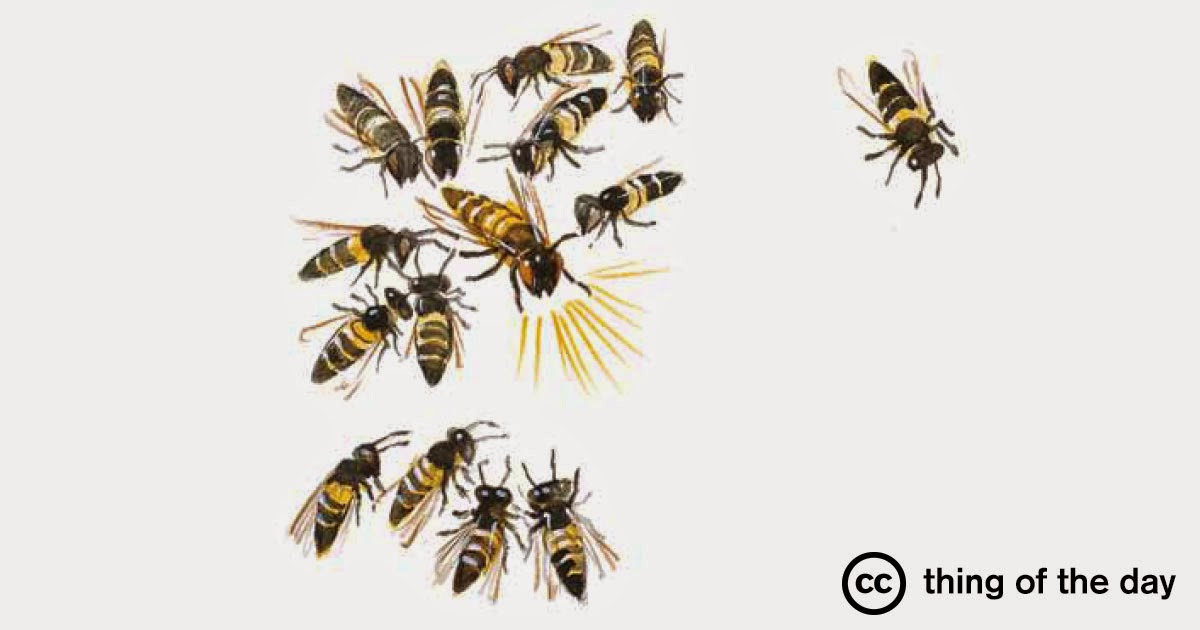 Muchkund on the Creative Commons Thing of the Day Blog - Pratham Books