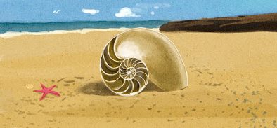 Making Math Fun - Pratham Books